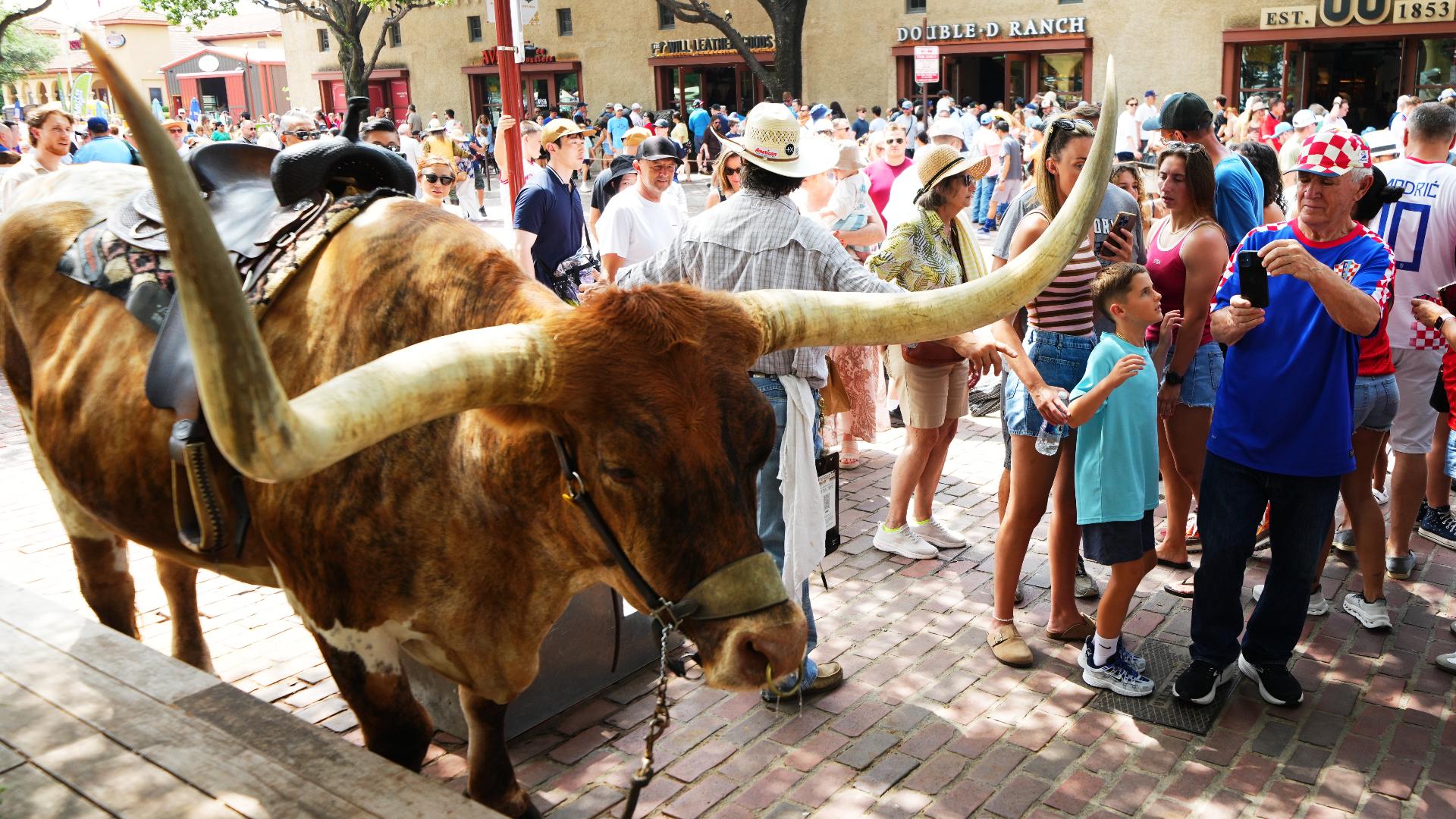 These World Cup games are happening Wednesday in Texas