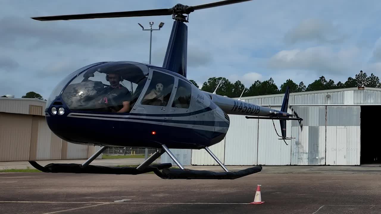 Luna loves her new helicopter setup
