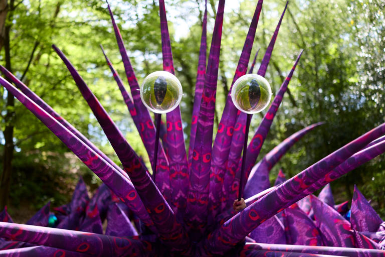 First look at giant creature puppet as iconic Sussex forest marks 100 ...