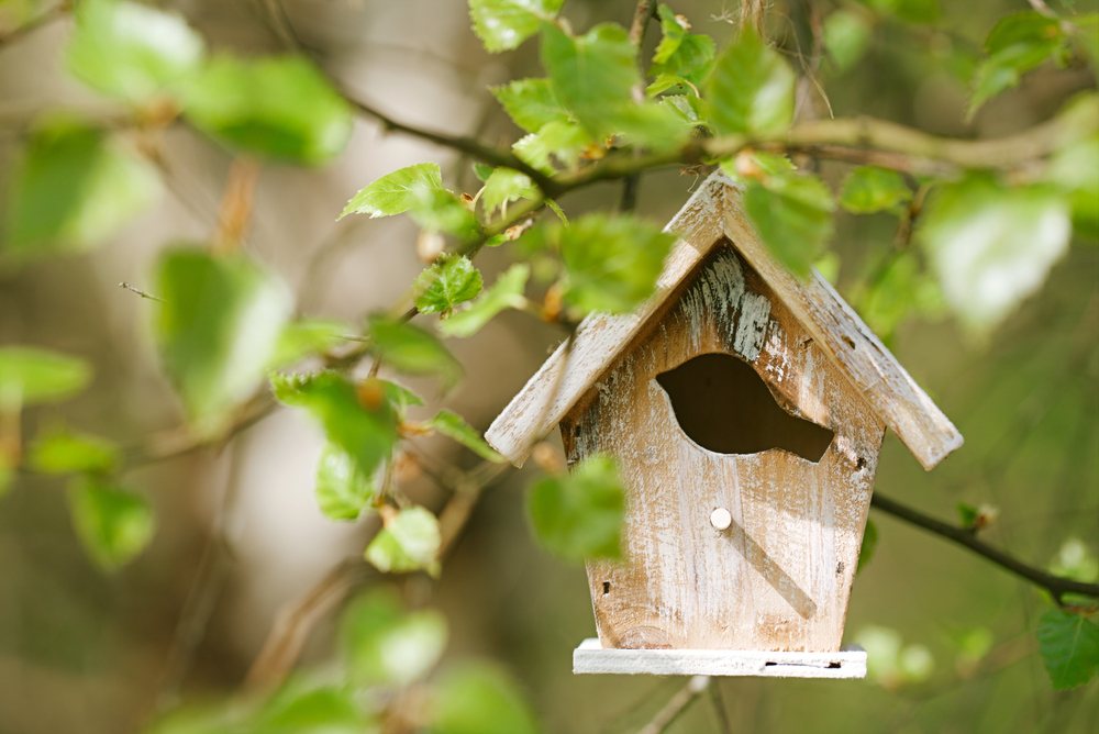 20 DIY birdhouses inspired by vintage designs