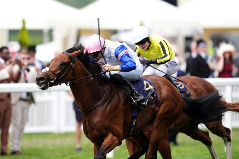 Royal Ascot 2026: Limestone wins the Queen's Vase