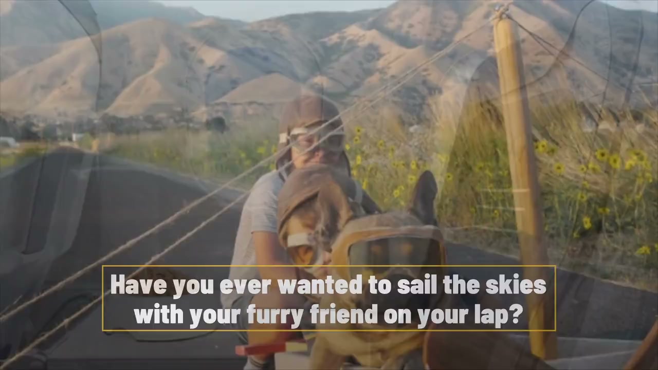 This airline will let you fly with your pets