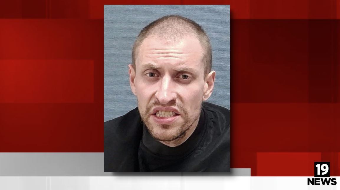Stark County man facing charges after 5 dogs found in horrible conditions