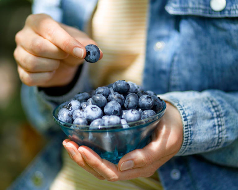 Jeden Tag Blaubeeren essen: Kann ungeahnte Folgen haben – Experten ...