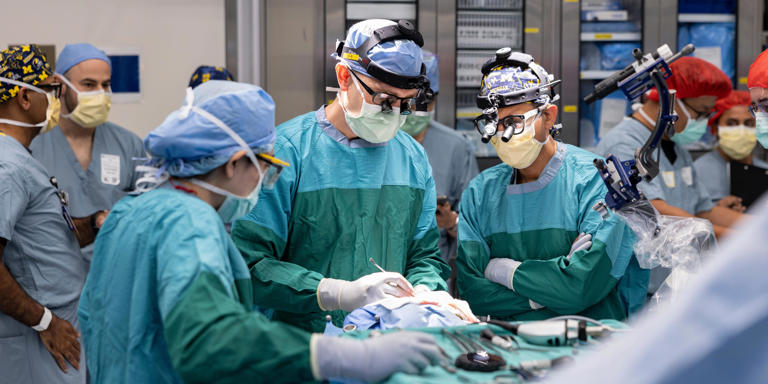Neuralink competitor Paradromics just implanted its first brain-chip ...