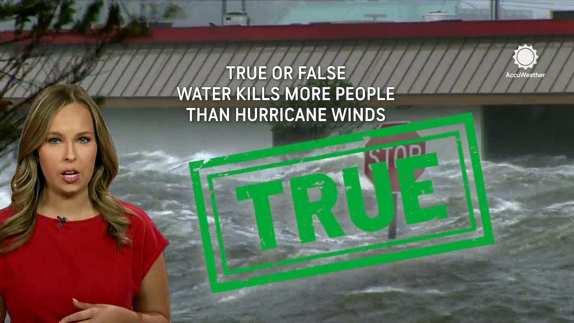 Hurricane facts that sound fake, but are they true?