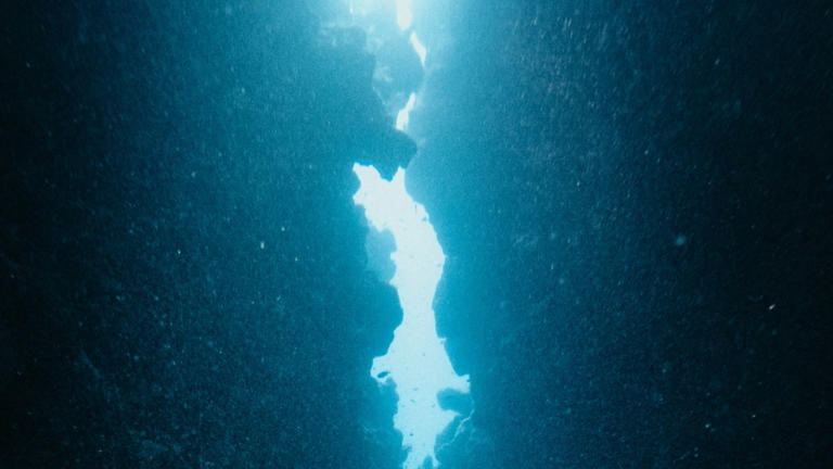The deepest point in the ocean lies nearly seven miles down and crushes ...