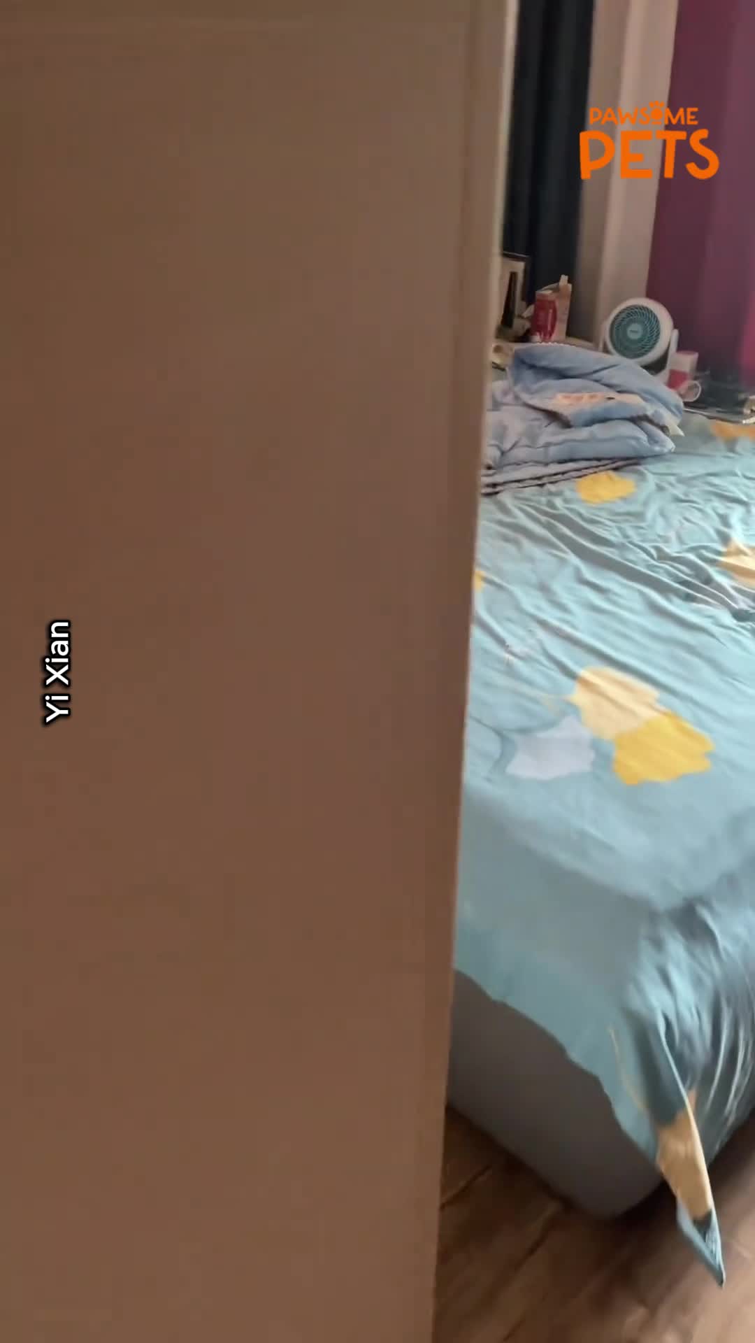 This cat found comfort in a very unusual position