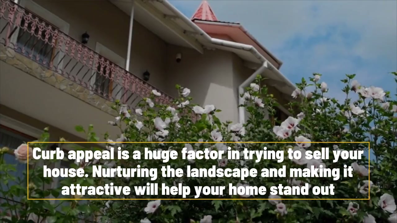 Flowering bushes bursting with appeal for outside your home