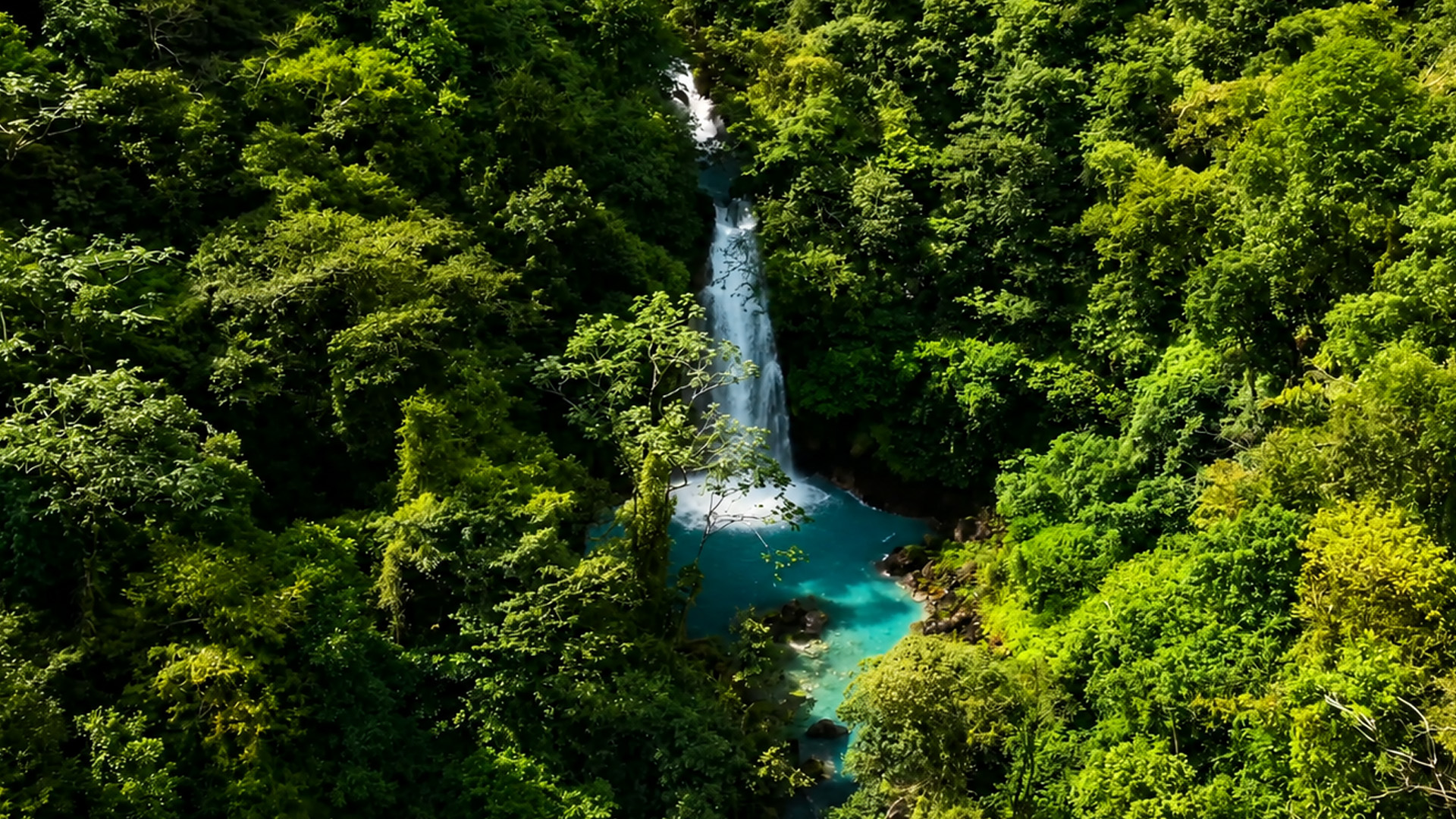 Una piscina en la selva a la que casi nadie llega