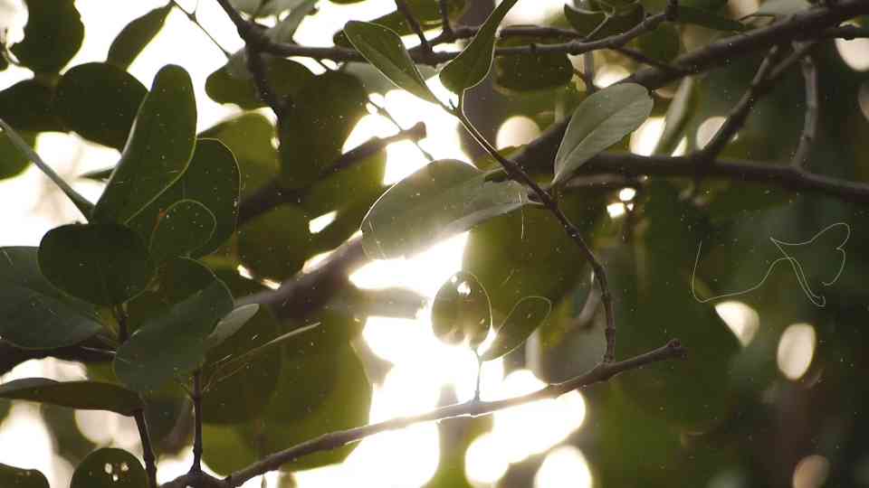 He believed evil spirits were everywhere - days later lives were destroyed