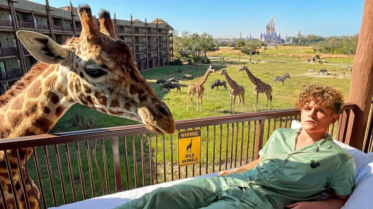 Watch what happens when you wake up surrounded by animals