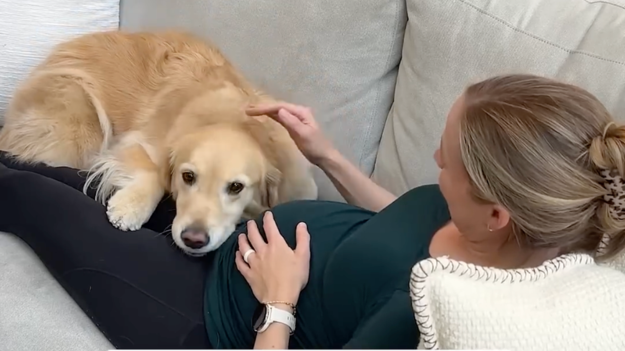 Ellie feels the baby kick for the first time!