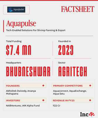 Fishing bigger margins: How Aquapulse is solving shrimp farming's ...