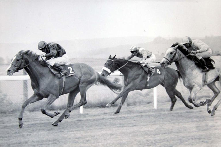 Willie Carson gives expert advice to jockeys after history-making triumph