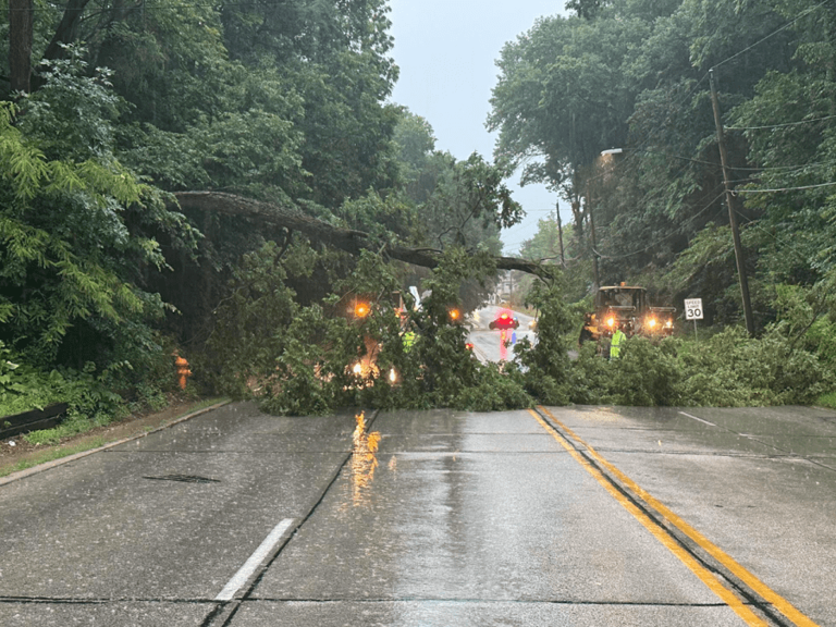 Update: 12th Avenue, Moline open after tree falls on road