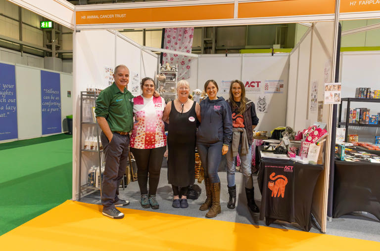 Cat Show Live launches crowdfunder to support UK cat rescues