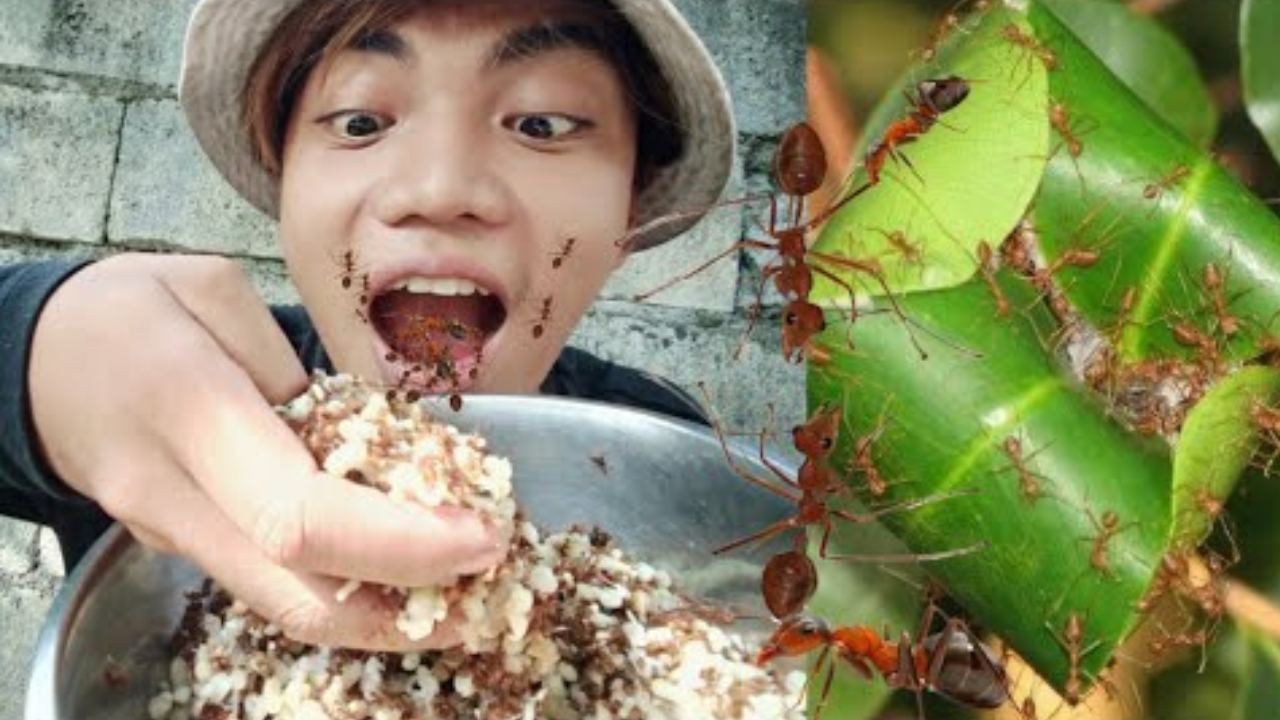 What makes Abuhus a beloved countryside delicacy
