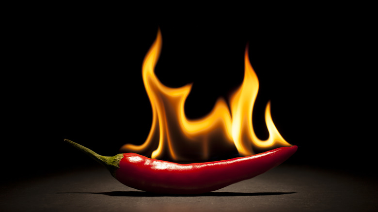 21 types of chile peppers and how spicy they are