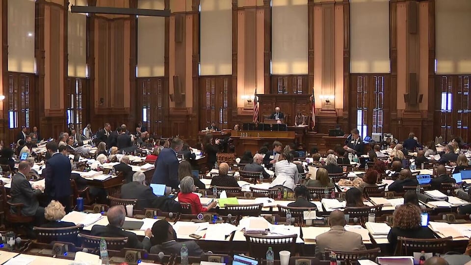Special session of Georgia General Assembly gets underway to redraw ...