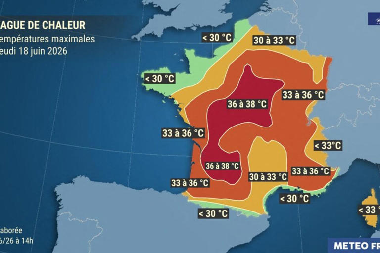 Canicule en France : « ressenti de type four », chaleur à plus de 40 °C ...
