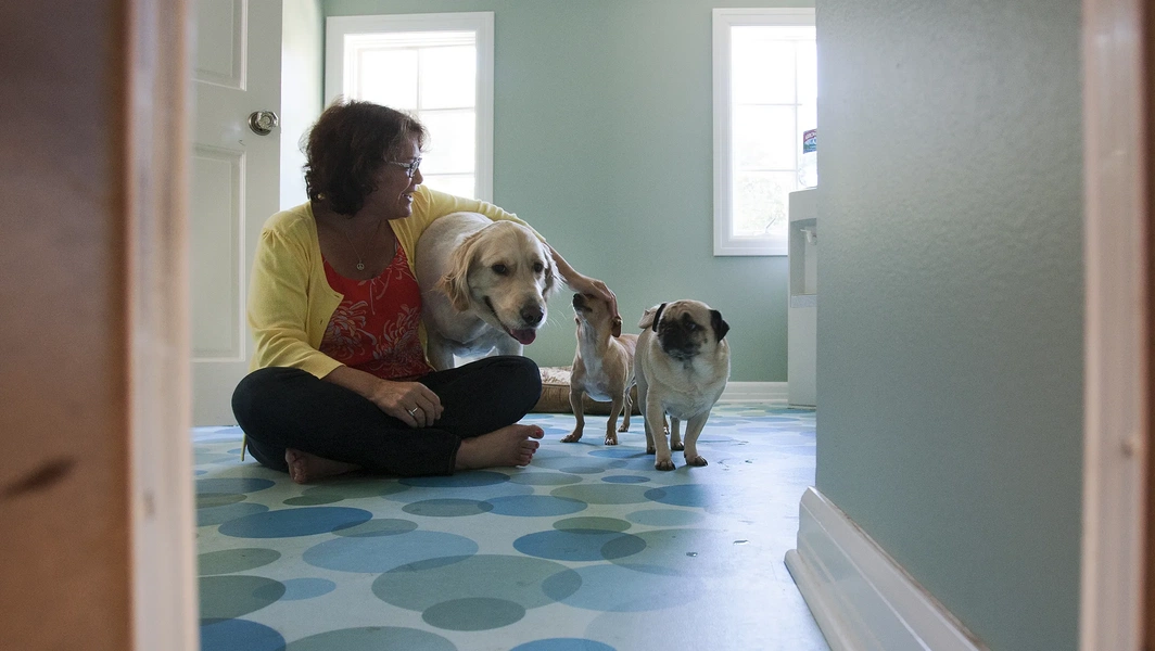 13 signs your dog sees you as their emotional anchor