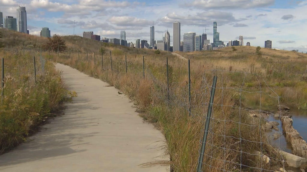 Chicago alderman proposes renaming Northerly Island after Pope Leo XIV