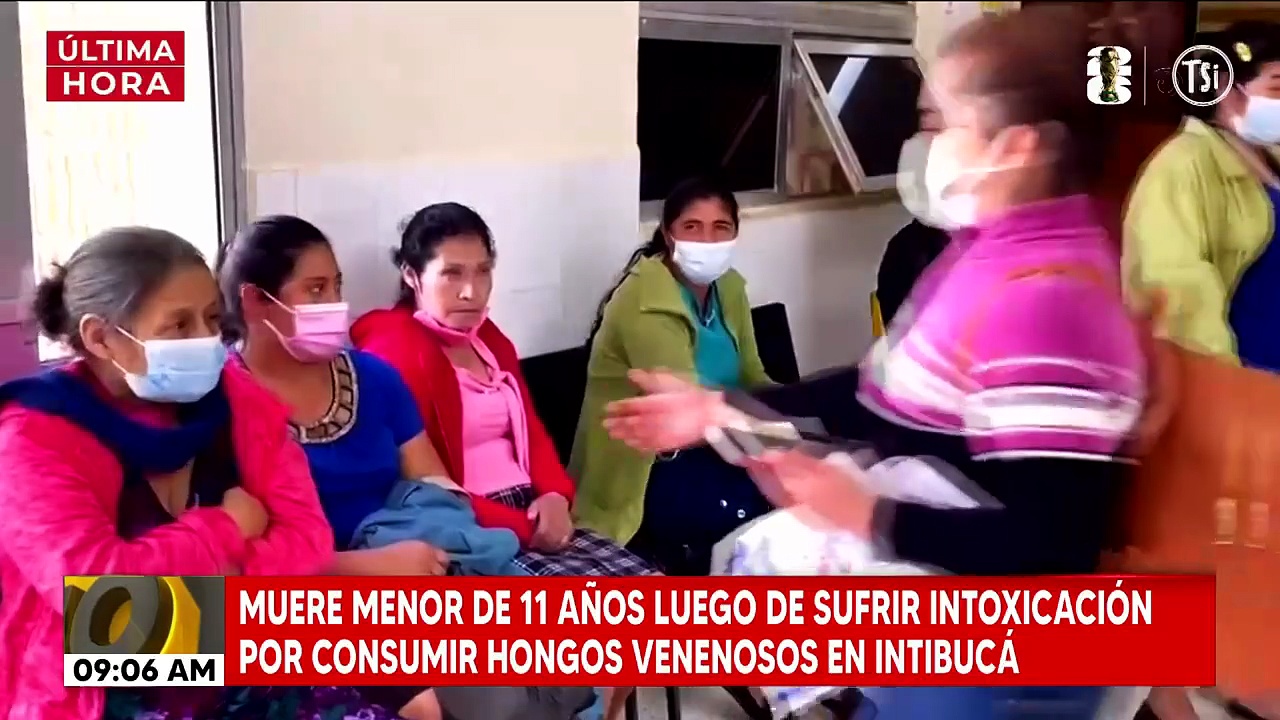 Muere menor de 11 años luego de sufrir intoxicación por consumir hongos ...