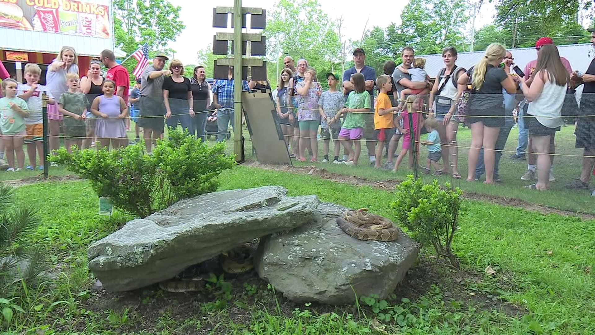 Rattlesnake round-up slithers into Wyoming County