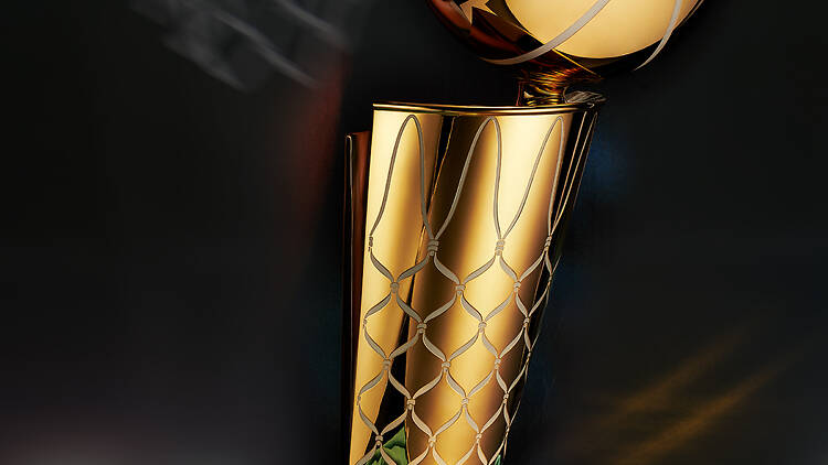 The NBA trophy is on display in NYC this week only