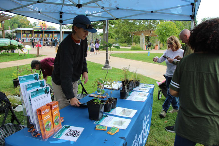 John Ball Zoo offers free pollinator plants at summer events