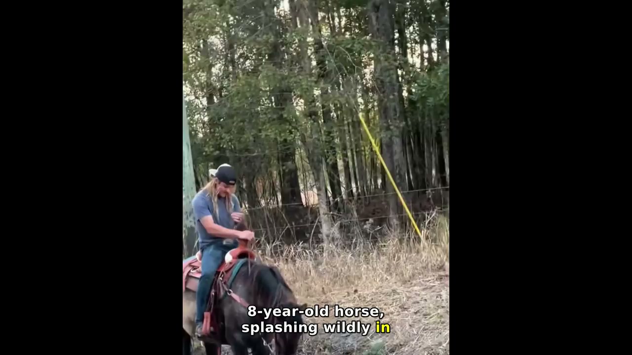 Playful horse splashes in muddy puddle
