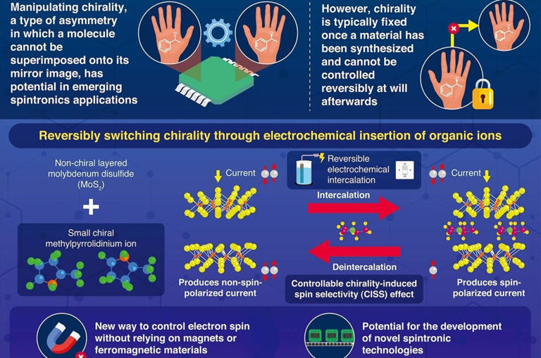 Reversible chirality switching in MoS₂ generates spin currents without ...