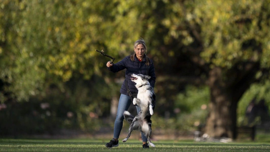 New study links extra playtime to stronger dog-owner bonds