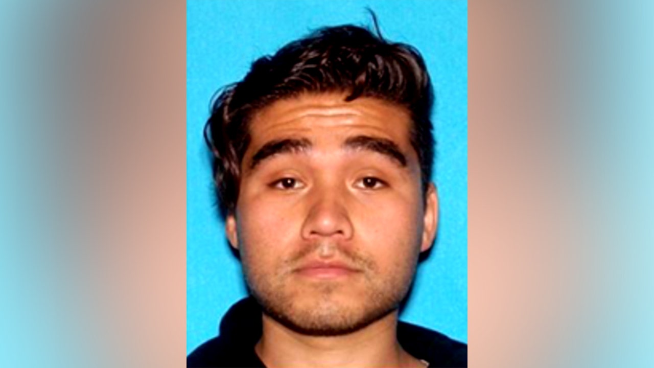 Smiling suspect stands out as authorities release mugshots of 5 accused ...