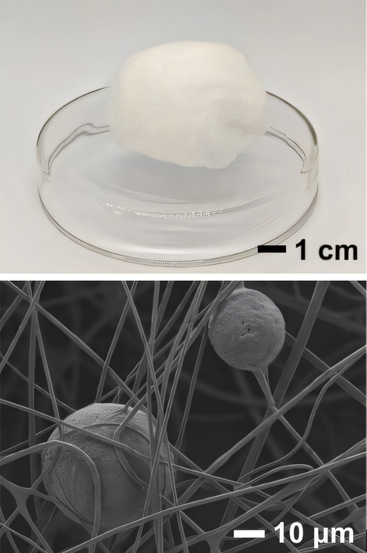 New heat-regulating fabric feels fluffy like cotton but doesn't get wet