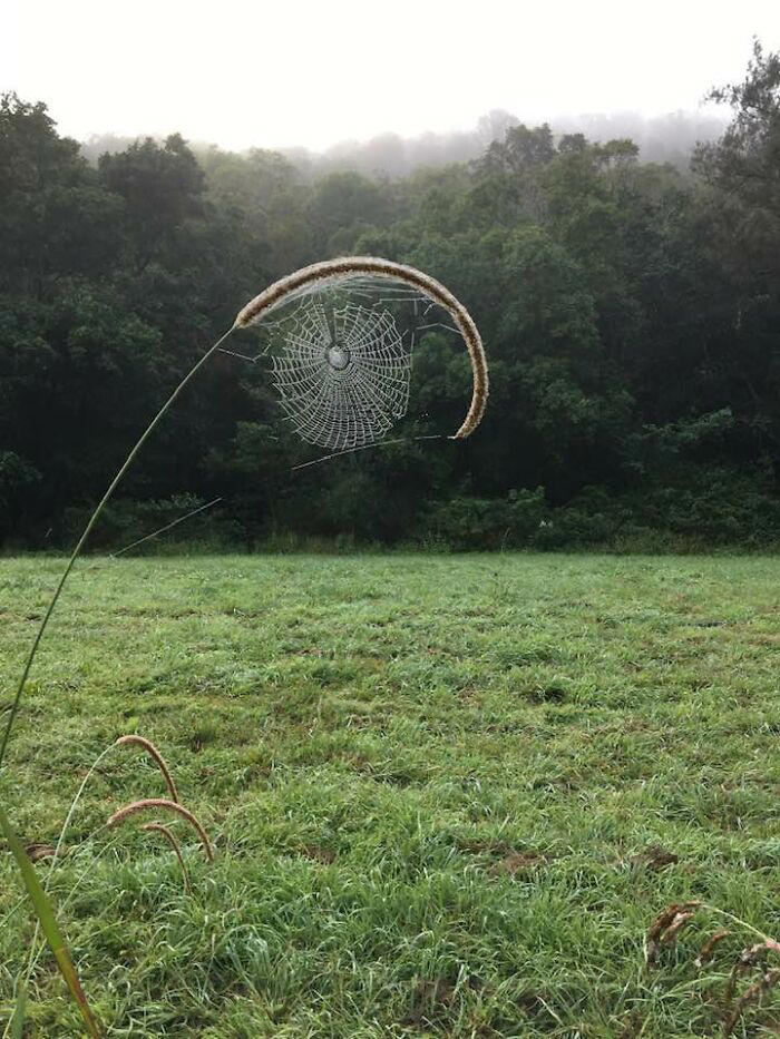 50 stunningly shot photos that find pure art in the most basic things