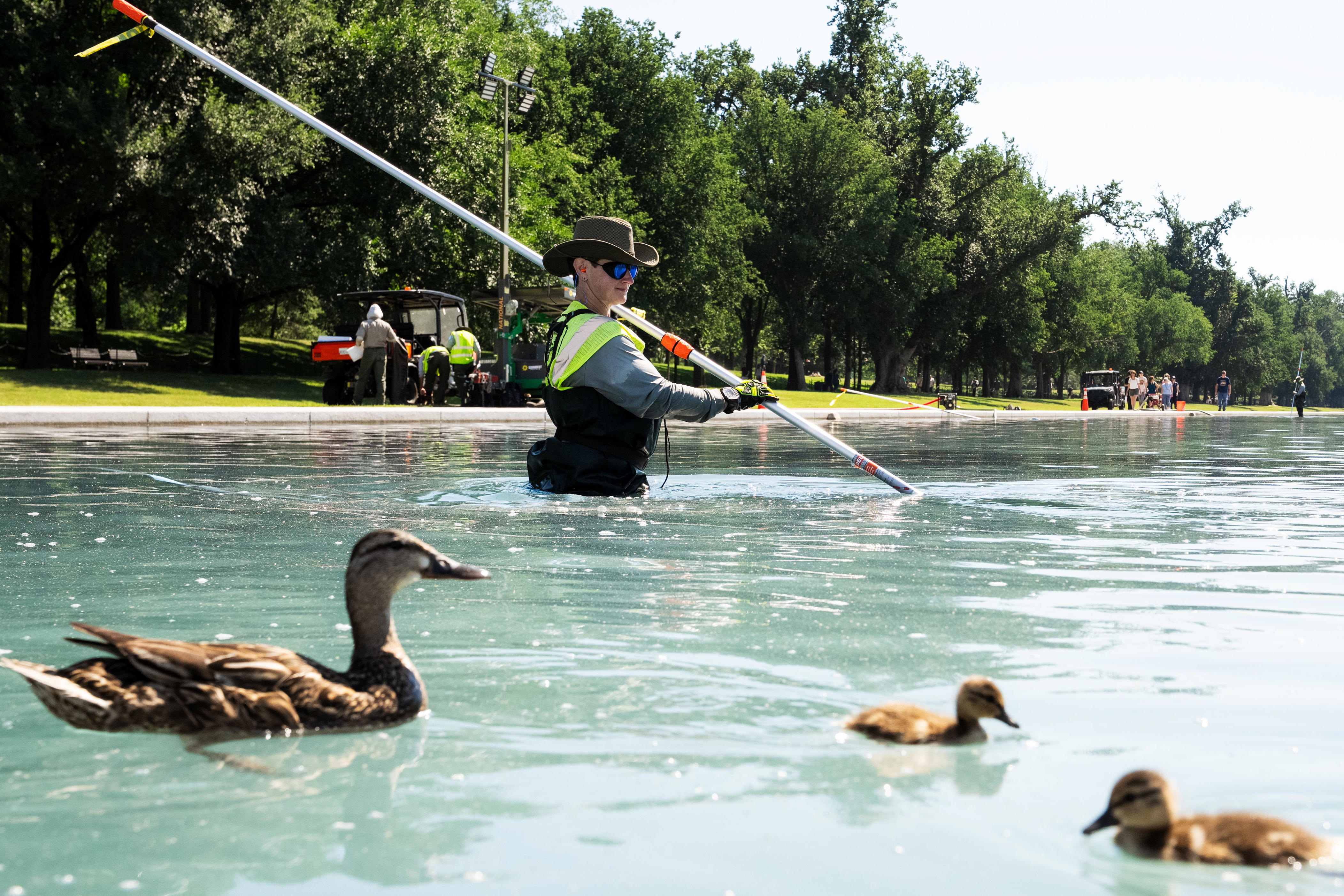 Is hydrogen peroxide a pool fix? DC reflecting pool algae explained