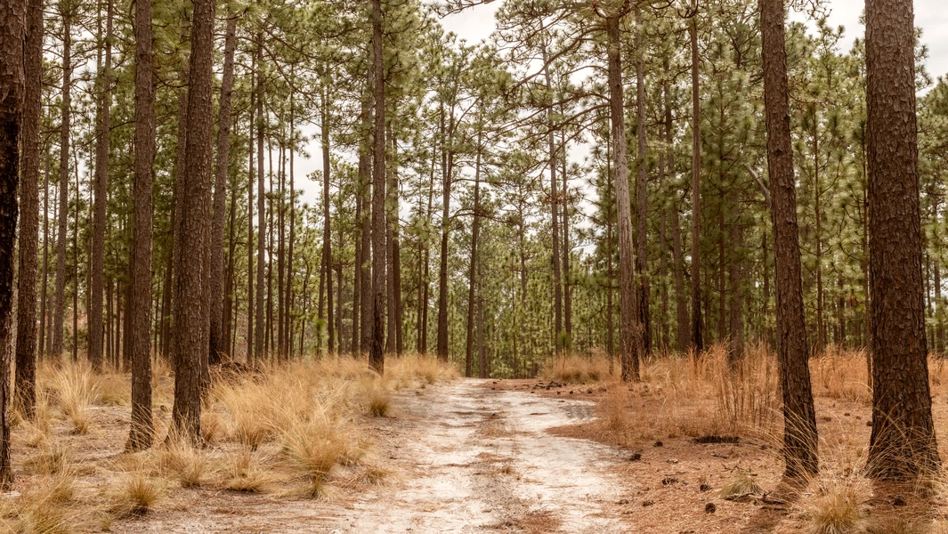 Lower Forge and Pine Barrens outdoor adventures