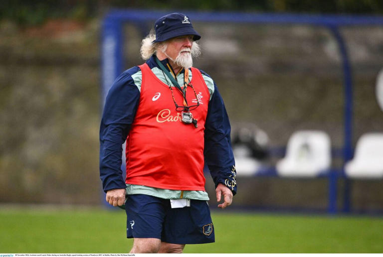 Australia face selection headache for Ireland test, says ex-Munster ...