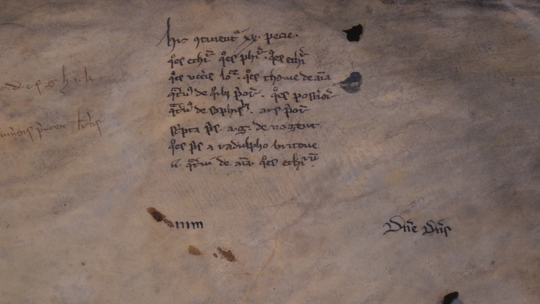 Why learning Latin still matters today