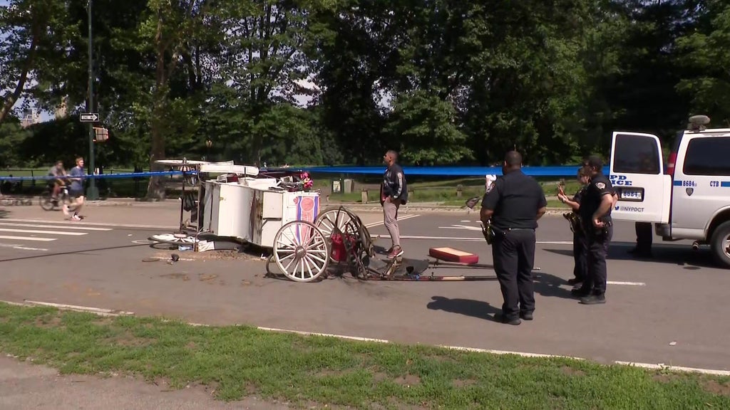 18-year-old dies after horse carriage overturns in Central Park