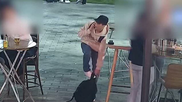Brazen bag thief nicks backpack whilst punters enjoy pints