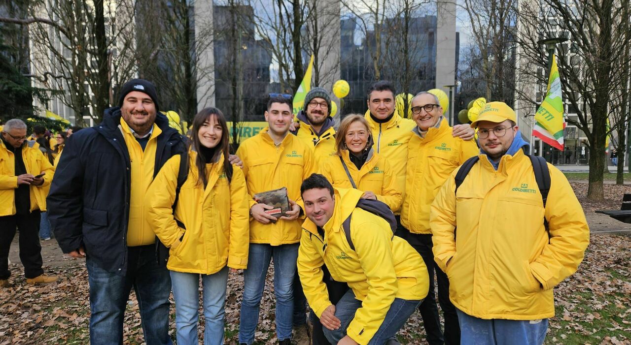 Coldiretti Viterbo, venerdì la “passeggiata gialla” tra cibo sano ...