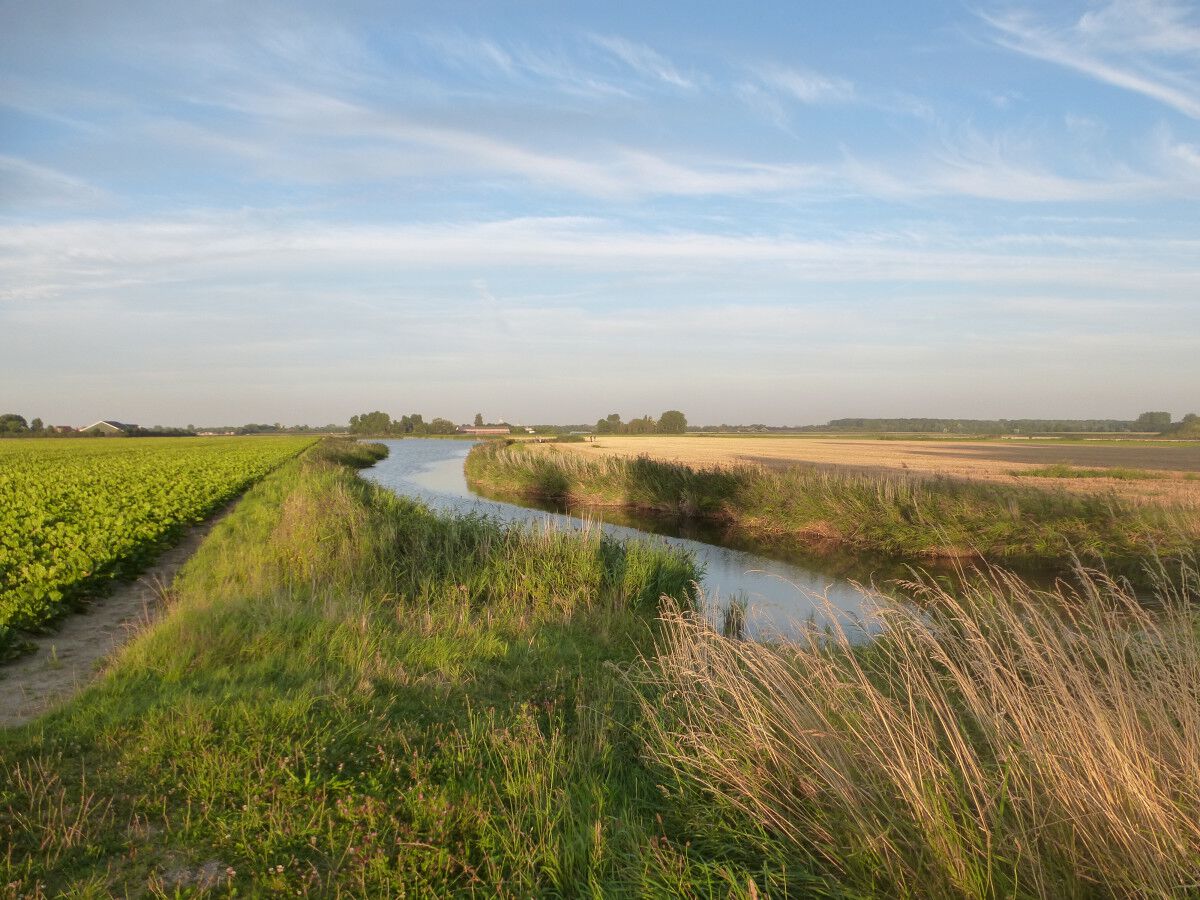 Zeeland test de opslag van water