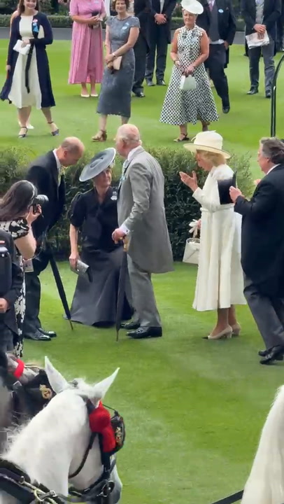 Watch: Duchess Sophie expertly performs a deep curtsy for King Charles