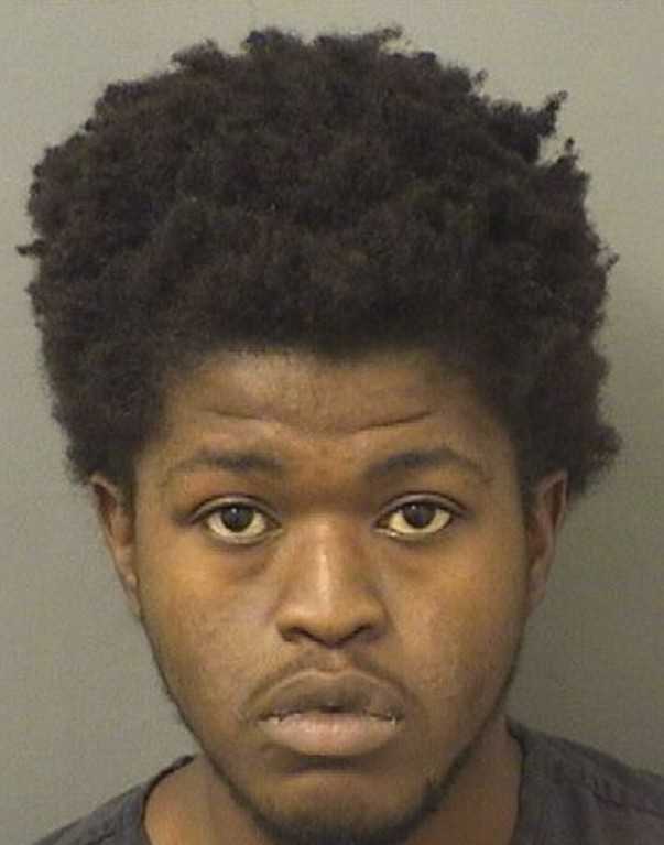 Lake Worth man charged after fleeing police and crashing into SUV