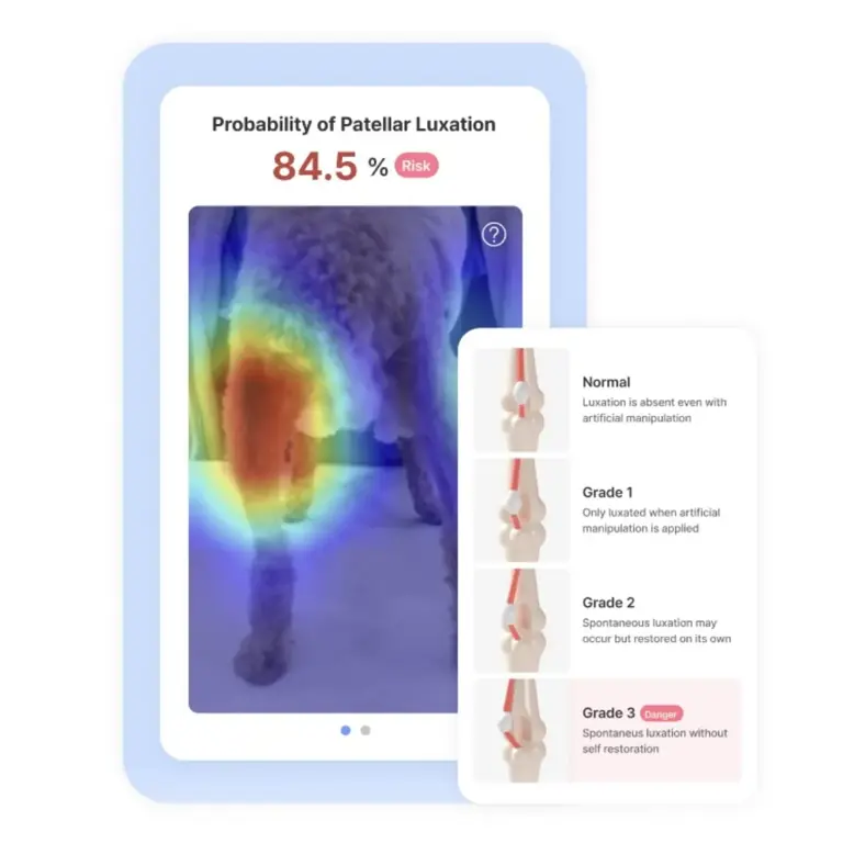 Samsung veut diagnostiquer la santé de votre chien avec une simple ...