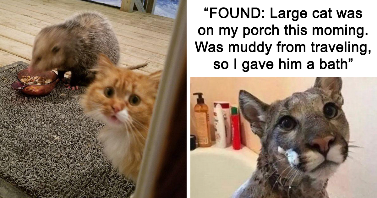 Little monsters: 44 photos of animals making a huge, hilarious mess