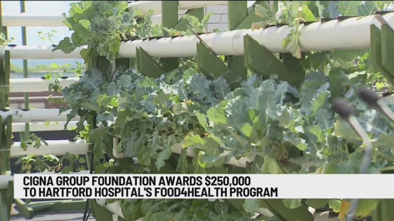 Hartford Hospital receives $250K for Food4Health program